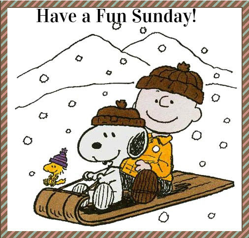 Have A Fun Sunday! Pictures, Photos, and Images for Facebook, Tumblr ...