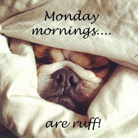 Monday Mornings Are Ruff Pictures, Photos, and Images for Facebook ...