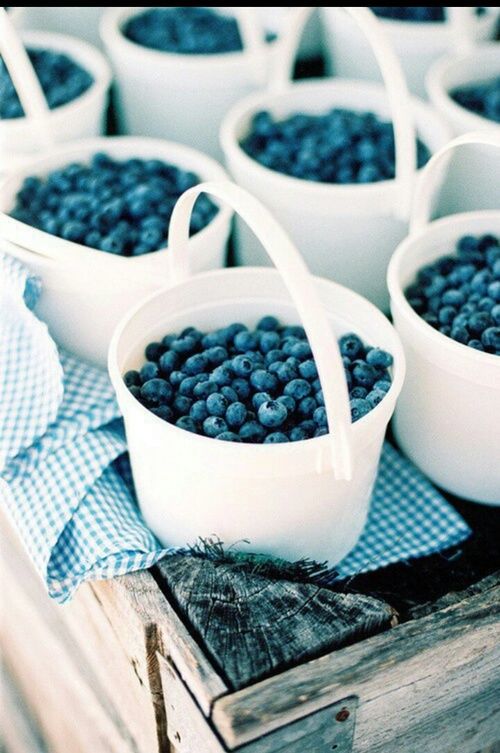 Buckets Of Blueberries Pictures, Photos, and Images for Facebook ...