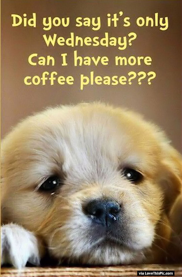 Did You Say Its Only Wednesday Can I Have More Coffee Pictures Photos