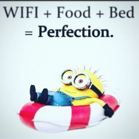 Wifi + Food + Bed = Perfection Pictures, Photos, and Images for ...