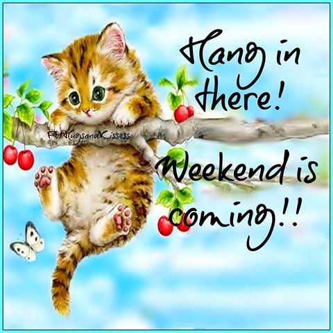 Hang In There The Weekend Is Coming Pictures, Photos, and Images for ...
