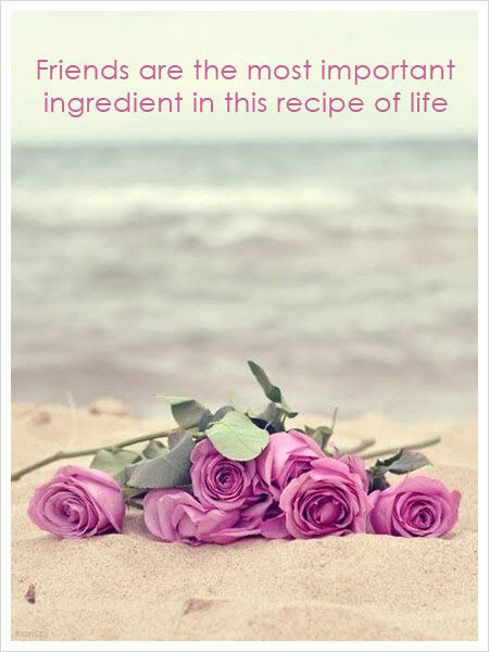 Friends Are The Most Important Ingredient... Pictures, Photos, and ...