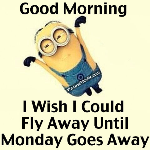 Good Morning, I Wish I Could Fly Away Until Monday Goes Away Pictures ...