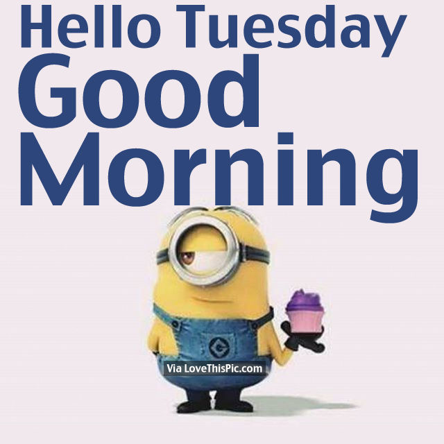Hello Tuesday, Good Morning Pictures, Photos, and Images for Facebook ...