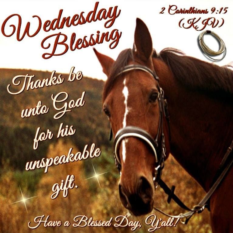 Wednesday Blessings Thank You God Pictures, Photos, and Images for ...