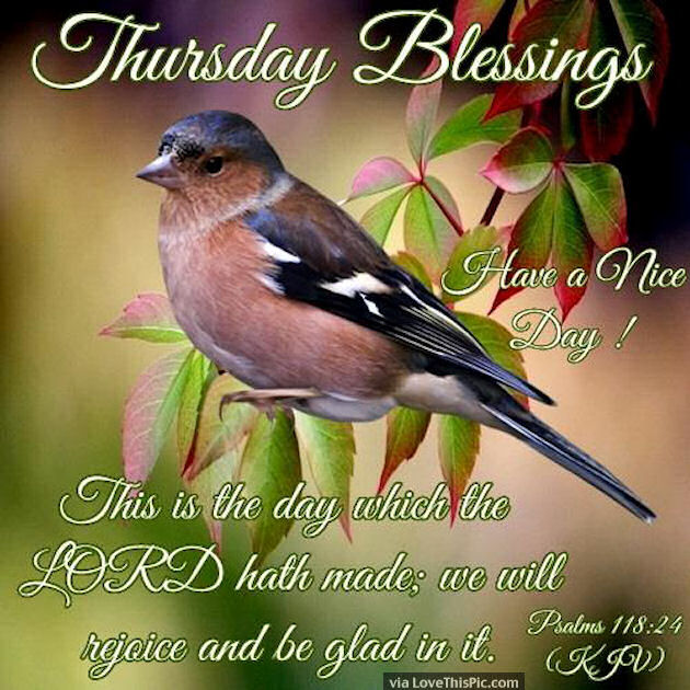 Thursday Blessings Have A Nice Day Pictures, Photos, and Images for ...