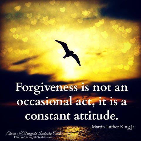 Forgiveness Is Not An Occasional Act, It Is A Constant Attitude ...