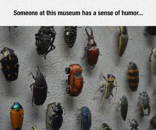 Someone At This Museum Has A Sense Of Humor Pictures, Photos, and ...