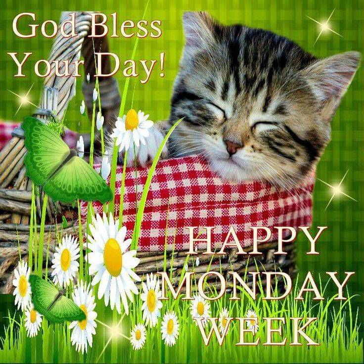 God Bless Your Day! Happy Monday Week Pictures, Photos, and Images for ...