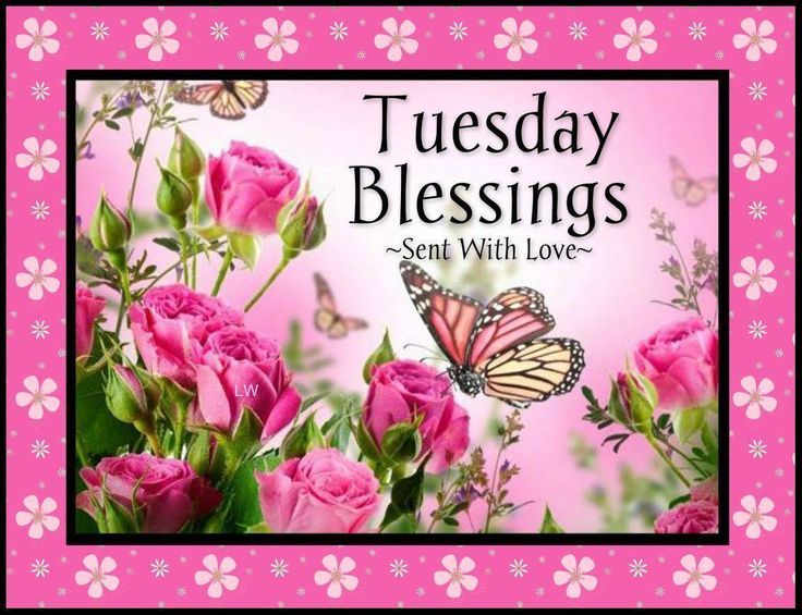 Tuesday Blessings Pictures, Photos, and Images for Facebook, Tumblr ...