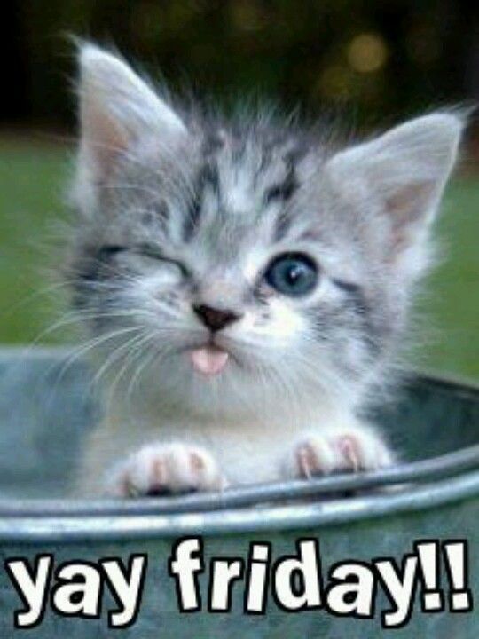 Yay Friday!!! Pictures, Photos, and Images for Facebook, Tumblr ...