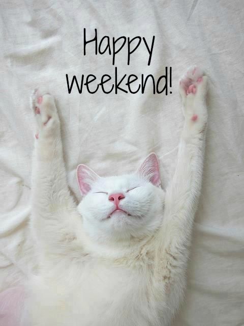 Happy Weekend Pictures, Photos, and Images for Facebook, Tumblr ...