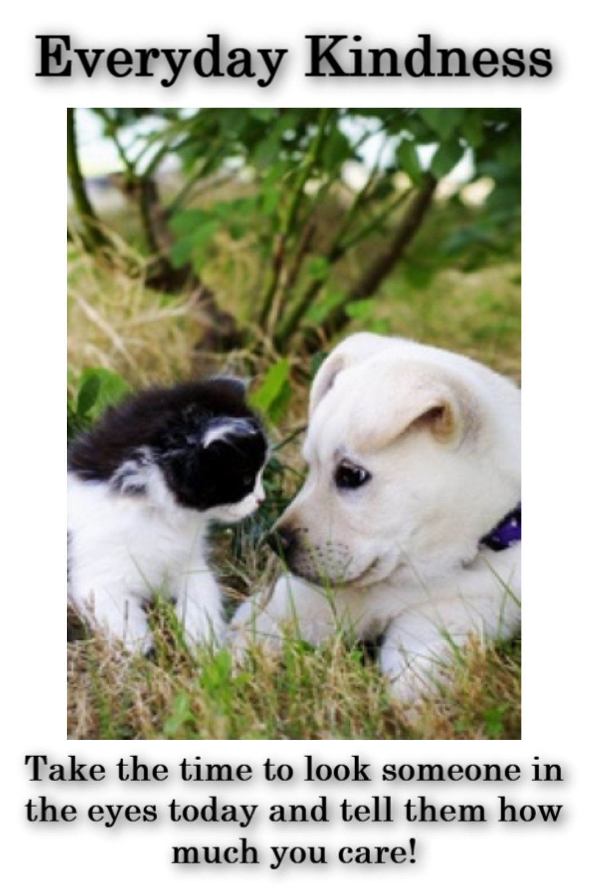 Everyday Kindness Pictures, Photos, and Images for Facebook, Tumblr ...