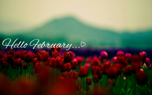 Hello February Pictures, Photos, and Images for Facebook, Tumblr ...