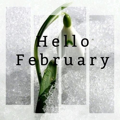 Hello February Pictures, Photos, and Images for Facebook, Tumblr ...