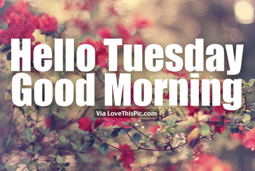 Hello Tuesday, Good Morning Pictures, Photos, and Images for Facebook ...