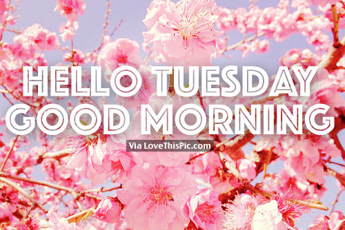 Hello Tuesday, Good Morning Pictures, Photos, and Images for Facebook ...