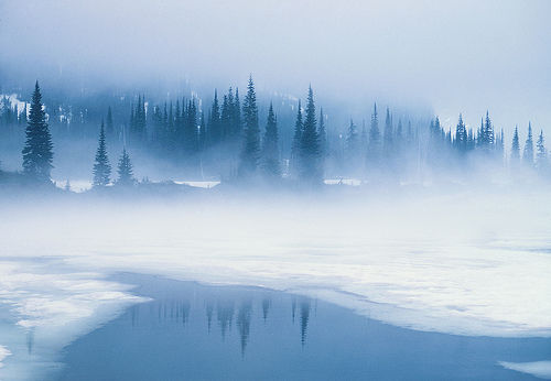 Snow Mist Of The Forest Pictures, Photos, and Images for Facebook ...