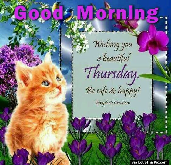 Good Morning Wishing You A Beautiful Thursday Pictures, Photos, and ...
