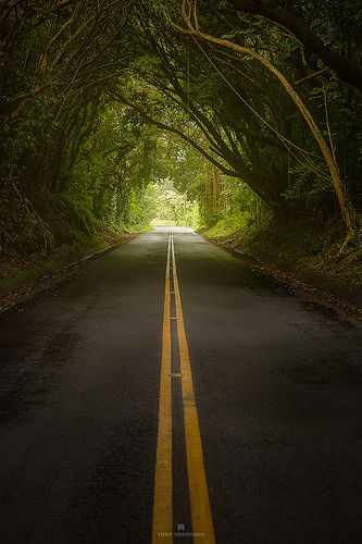 Tunnel Vision Pictures, Photos, and Images for Facebook, Tumblr ...