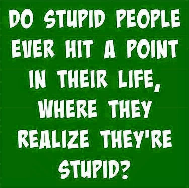 Do Stupid People Ever Realize They Are Stupid Pictures Photos And do-stupid-people-ever-realize-they-are-stupid-pictures-photos-and