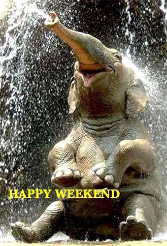Happy Weekend Pictures, Photos, and Images for Facebook, Tumblr ...