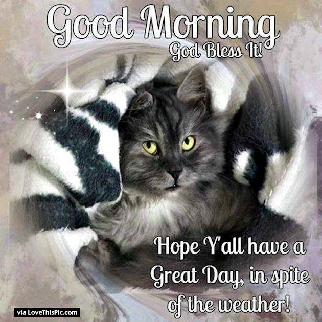 Good Morning Hope Yall Have A Great Day Pictures, Photos, and Images ...