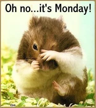 Oh No.....It's Monday! Pictures, Photos, and Images for Facebook ...