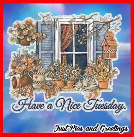 Have A Nice Tuesday Pictures, Photos, and Images for Facebook, Tumblr ...