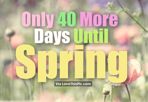 Only 40 More Days Until Spring Pictures, Photos, and Images for ...