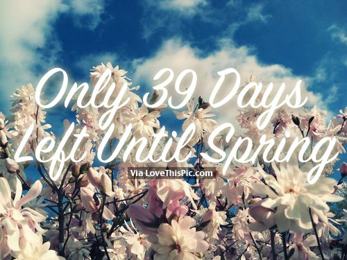 Only 39 Days Left Until Spring Pictures, Photos, and Images for ...