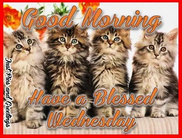Good Morning Have A Blessed Wednesday Cute Quote Pictures, Photos, and ...