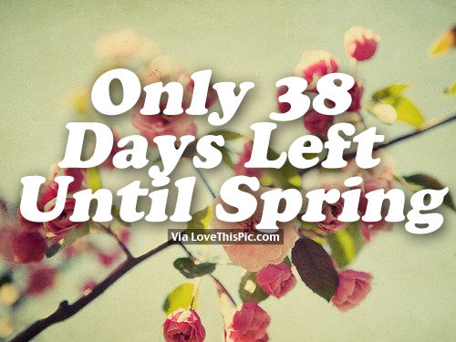 Only 38 Days Until Spring Pictures, Photos, and Images for Facebook ...