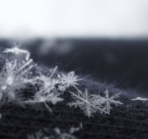 Snow Flurries Pictures, Photos, and Images for Facebook, Tumblr ...