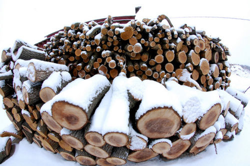 Snow Logs Pictures, Photos, and Images for Facebook, Tumblr, Pinterest ...