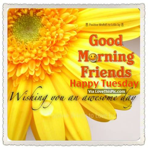 Good Morning Friends, Happy Tuesday, Wishing You An Awesome Day ...