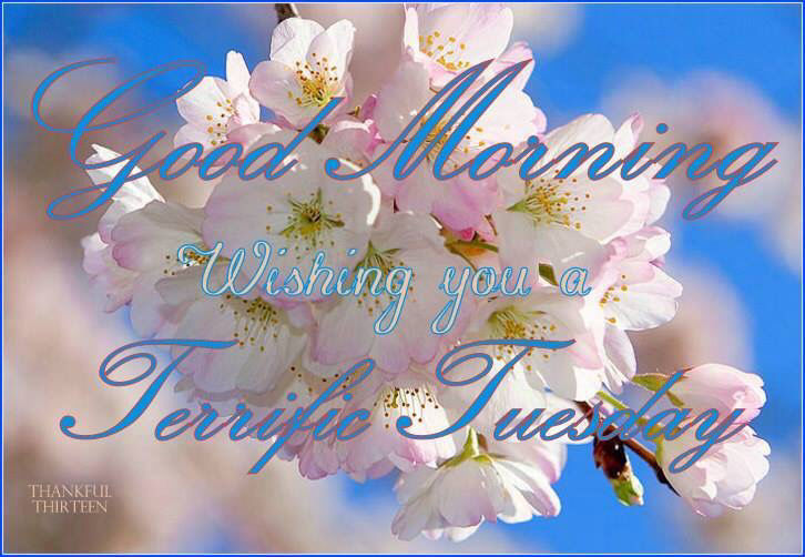 Good Morning Wishing You A Terrific Tuesday Pictures, Photos, and ...