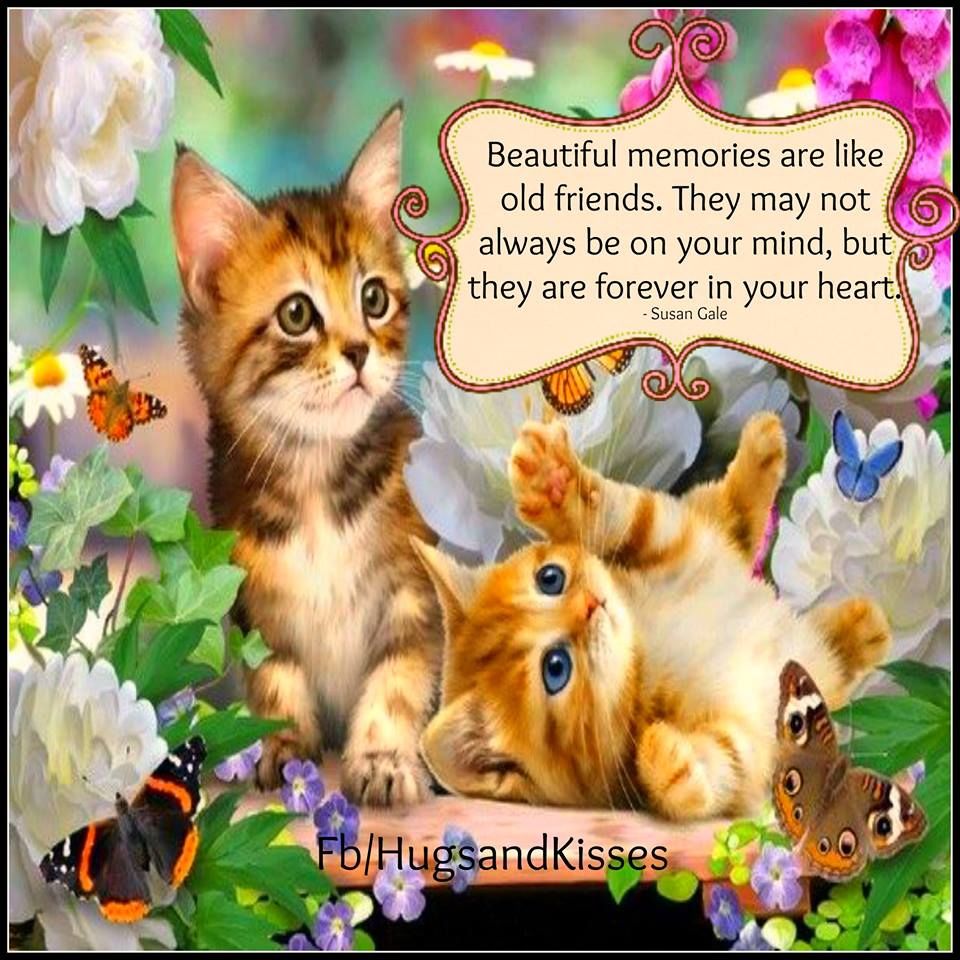Beautiful Memories Are Like Old Friends Pictures, Photos, and Images ...