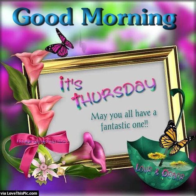 Good Morning Its Thursday May You Have A Fantastic Day Pictures, Photos ...