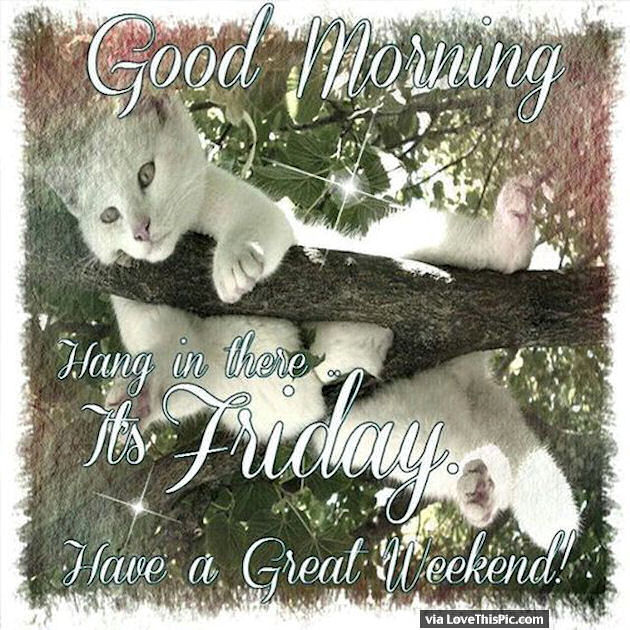 Good Morning Hang In There Its Friday Pictures, Photos, and Images for ...