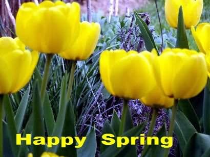 Happy Spring Pictures, Photos, and Images for Facebook, Tumblr ...