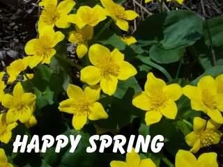 Happy Spring Pictures, Photos, and Images for Facebook, Tumblr ...