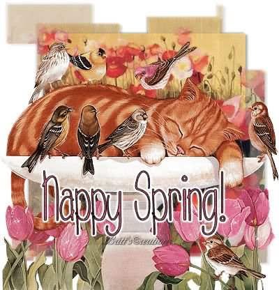 Happy Spring Pictures, Photos, and Images for Facebook, Tumblr ...