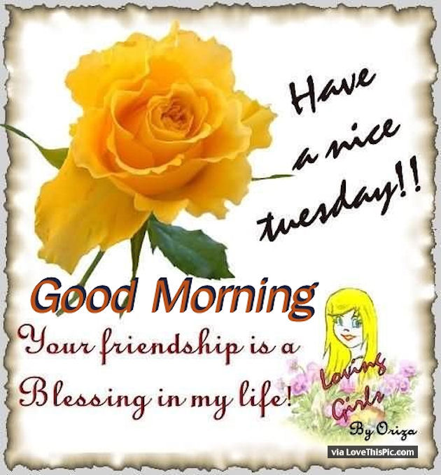 Have A Nice Tuesday, Your Friendship Is A Blessing In My Life Pictures ...