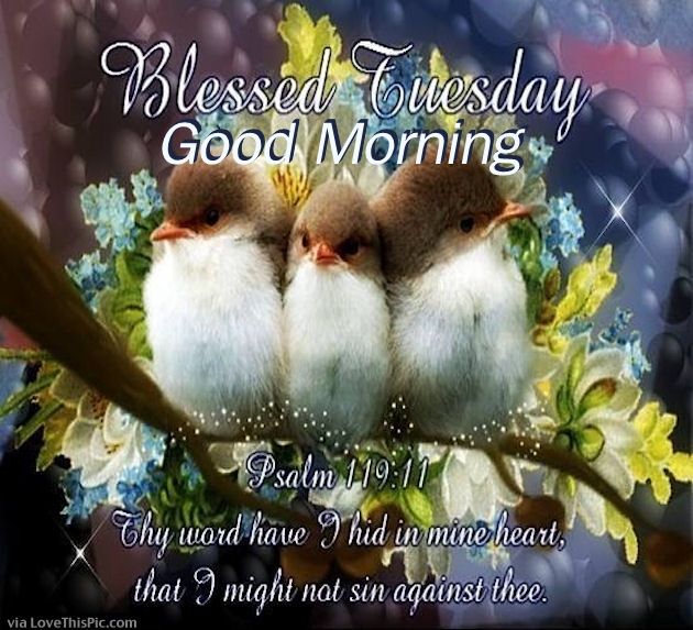 Blessed Tuesday Good Morning Pictures, Photos, and Images for Facebook ...