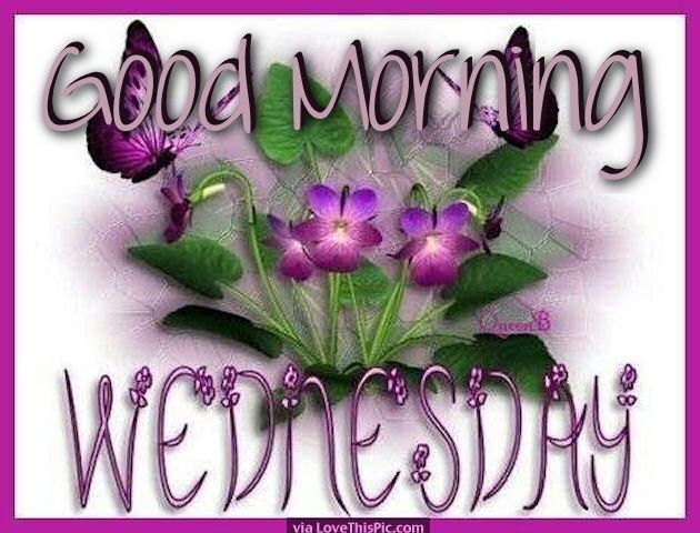 Good Morning Wednesday Flowers Pictures, Photos, and Images for ...