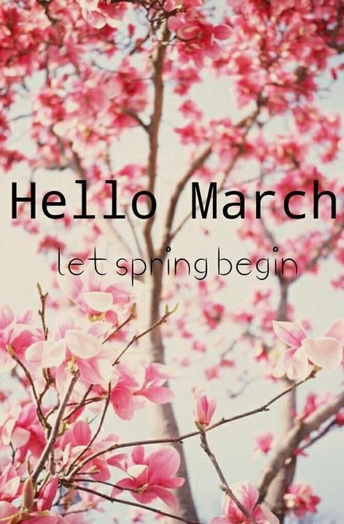 Hello March Let Spring Begin Pictures, Photos, and Images for Facebook ...