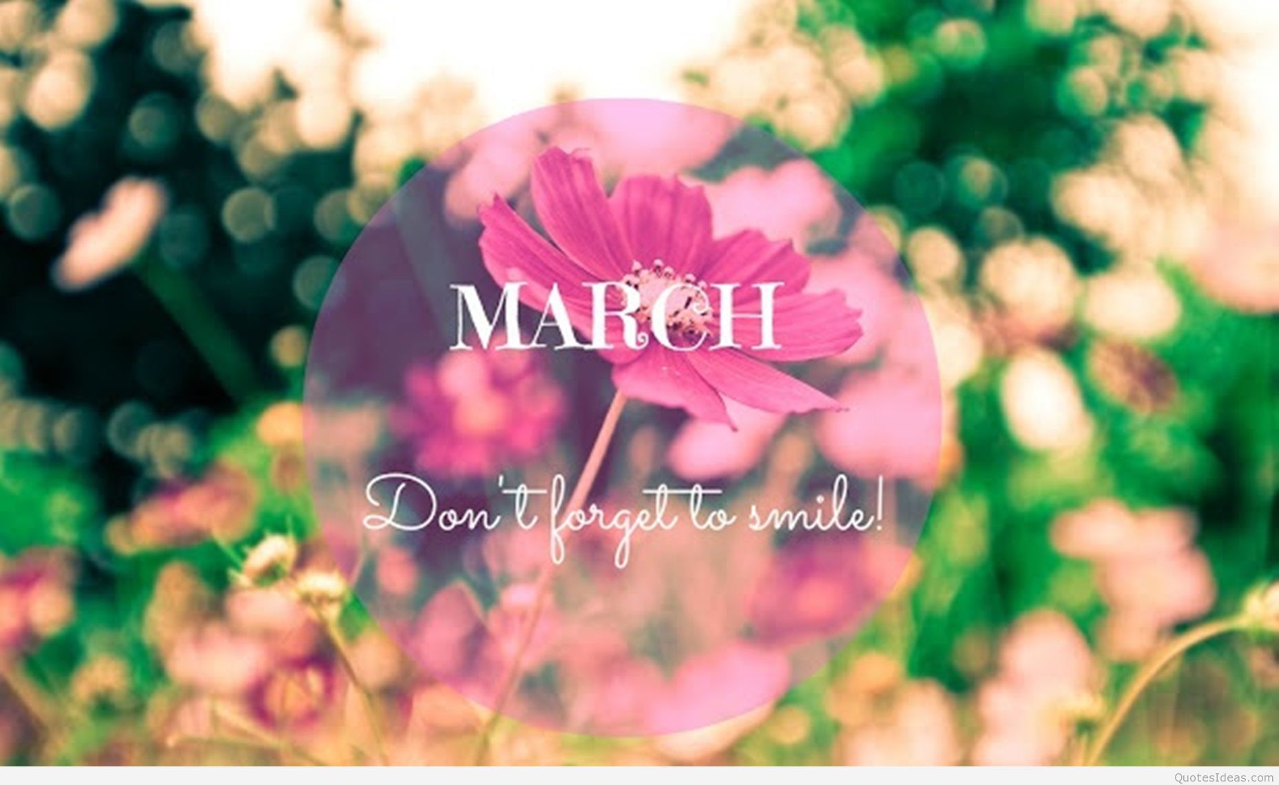 March, Don't Forget To Smile Pictures, Photos, and Images for Facebook ...