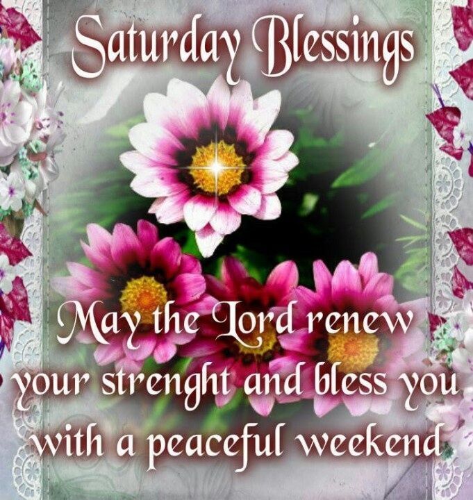 Saturday Blessings, May The Lord Renew Your Strength And Bless You With ...